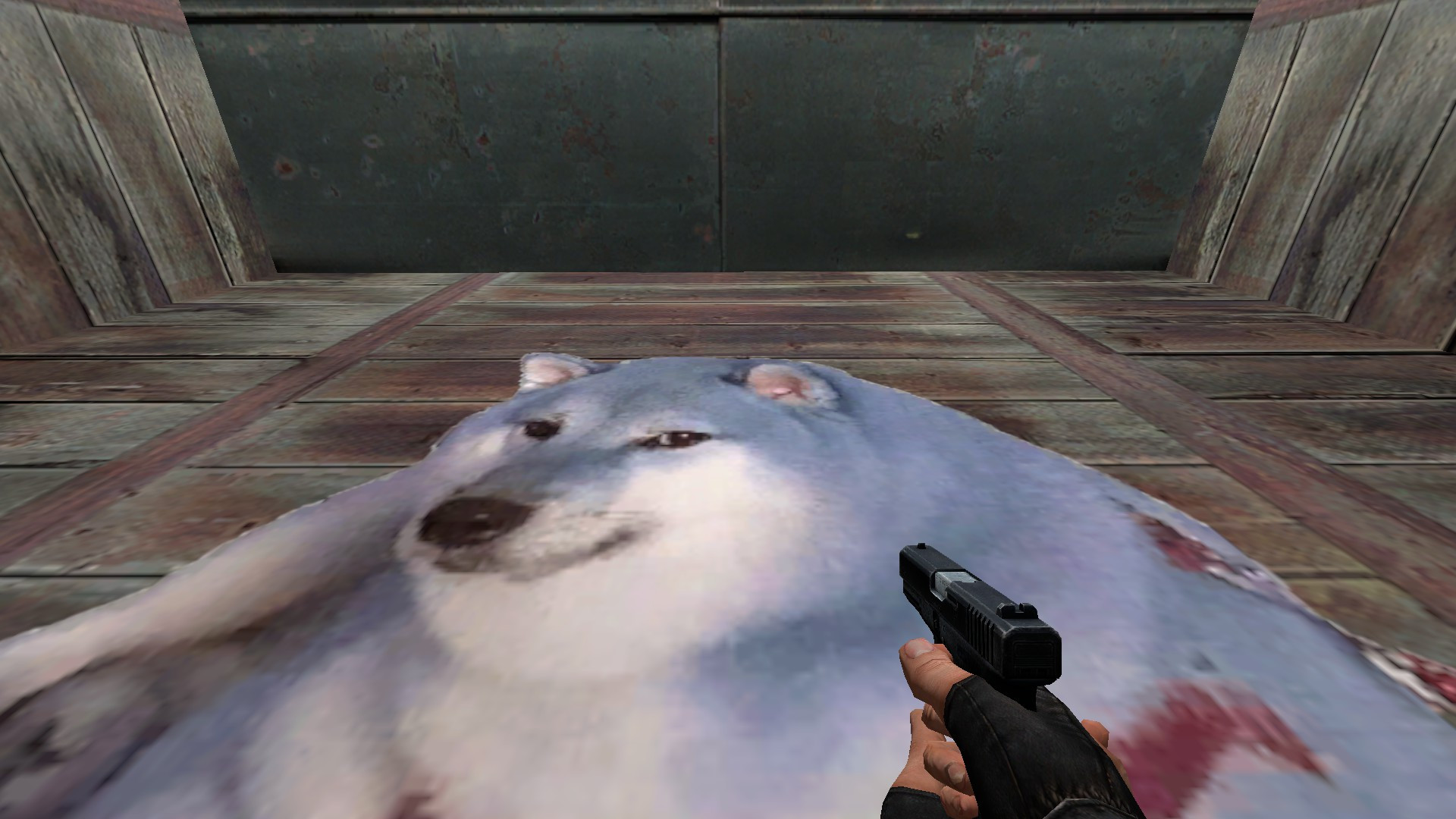 Blue doge [Counter-Strike: Source] [Sprays]